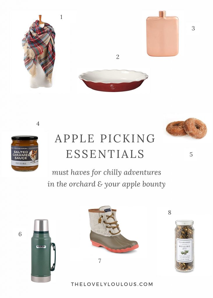 Apple Picking Essentials - The Lovely Lou Lou's